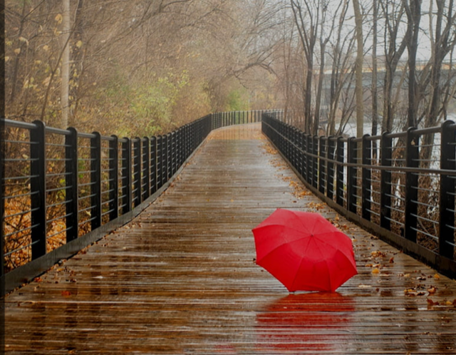 Hold deg dekket og beskyttet med Marcanor-paraplyer. – Marcanor